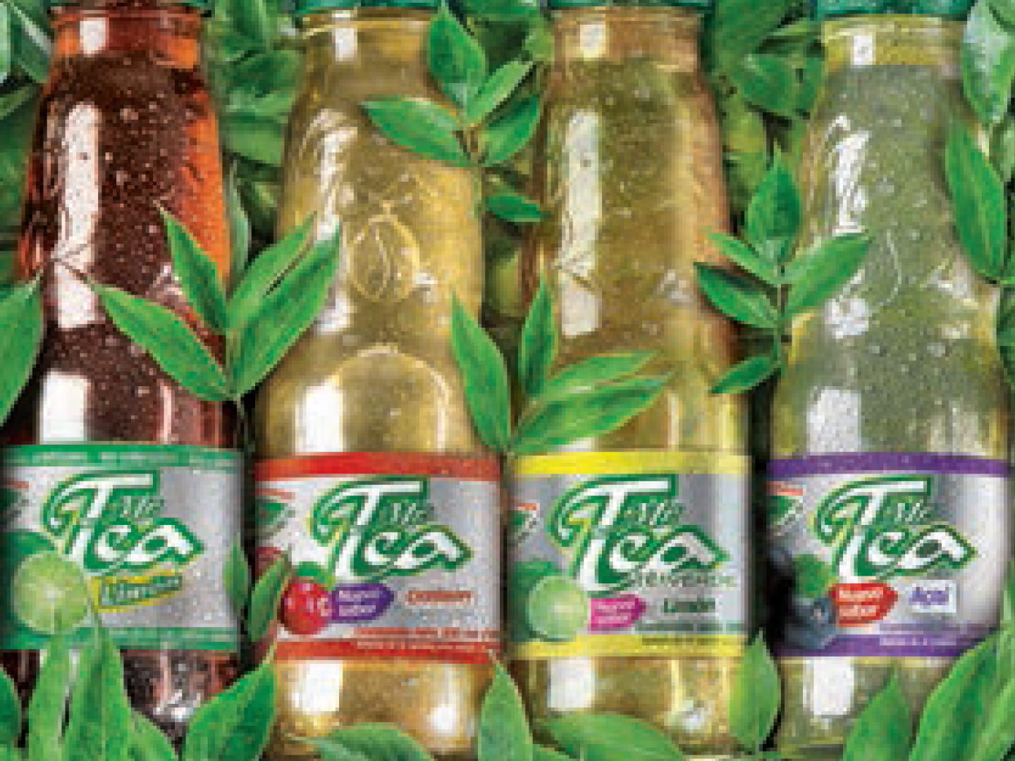 Elige sabor para tus clientes con Mr. Tea en Periódicos de Colombia ...