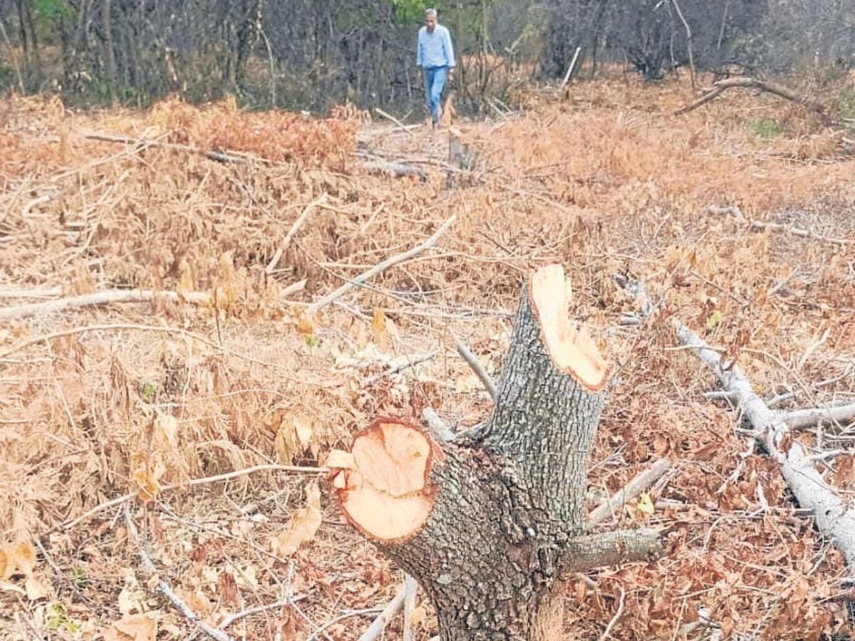 Periódicos de Colombia, más noticias en un solo Lugar ...